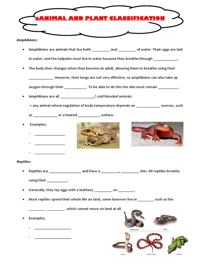 Animal and Plant Classification | PDF | Amphibian | Egg