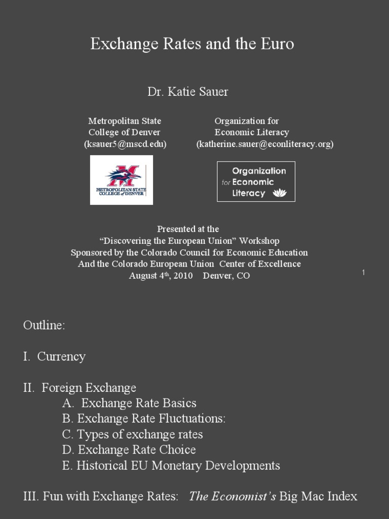 Exchange Rates and The Euro: Dr. Katie Sauer | PDF | Orthography ...