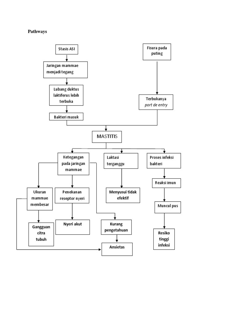 Pathway Mastitis