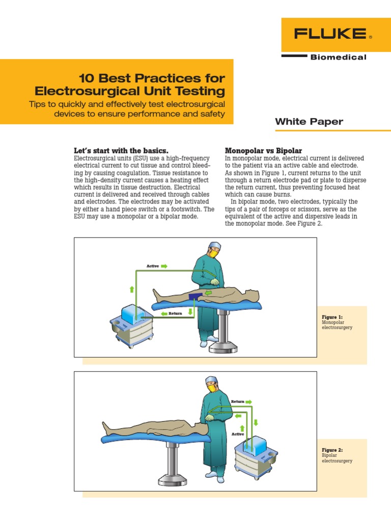 6004312b Esu 10 Best Practices Wp W Pdf Electromagnetism