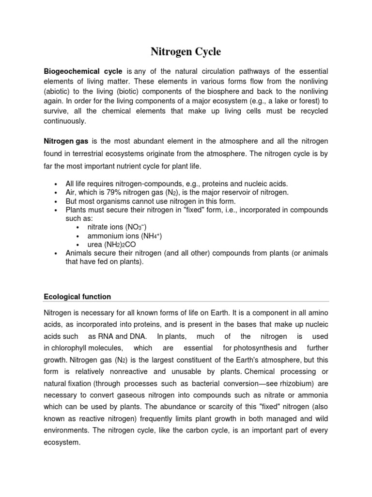 Nitrogen Cycle.docx | Nitrogen | Chemistry