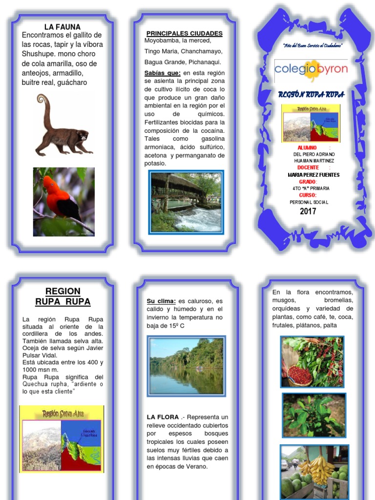 Triptico Region Rupa Rupa | PDF | Ciencias de la Tierra | Conservación