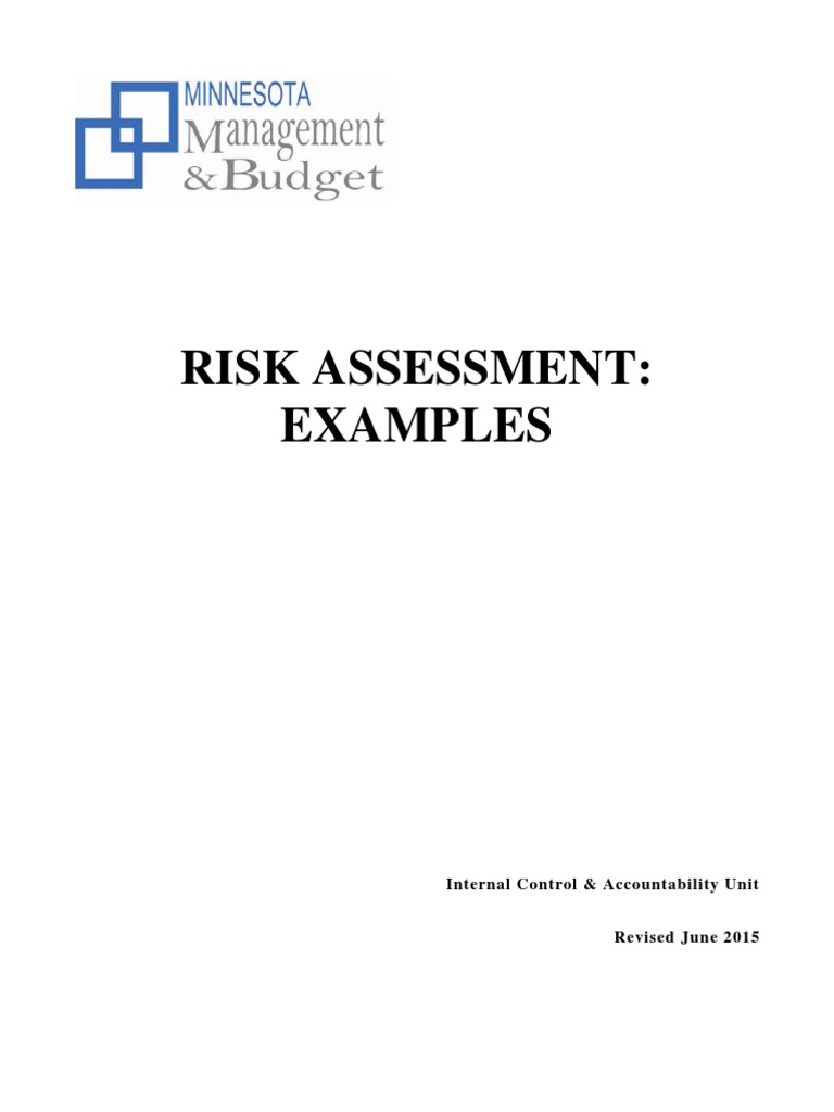 Risk Assessment: Examples: Internal Control & Accountability Unit | PDF ...