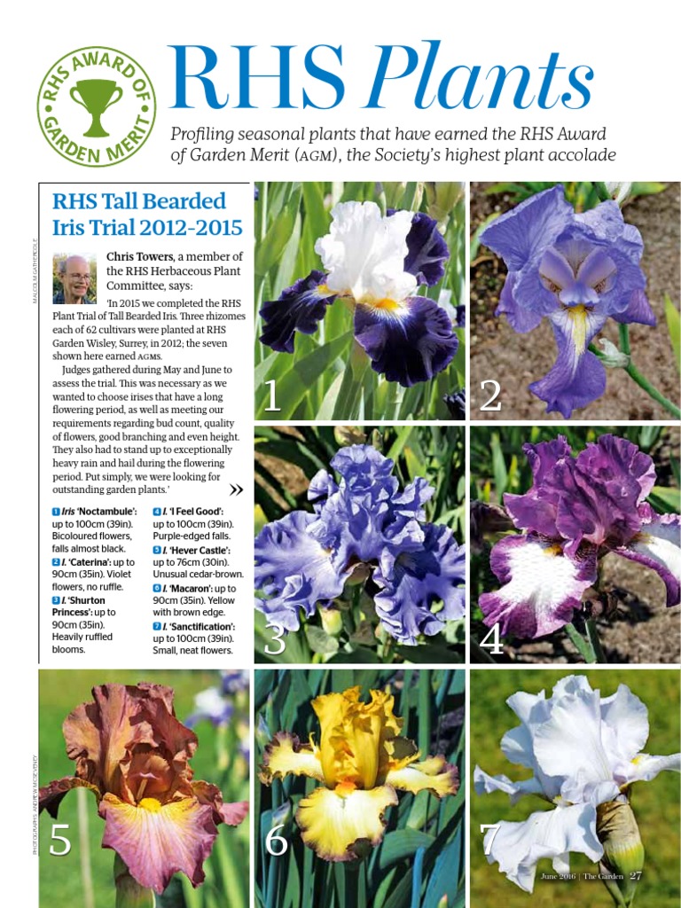 RHS Tall Bearded Iris Award Winners | PDF | Flora | Plants