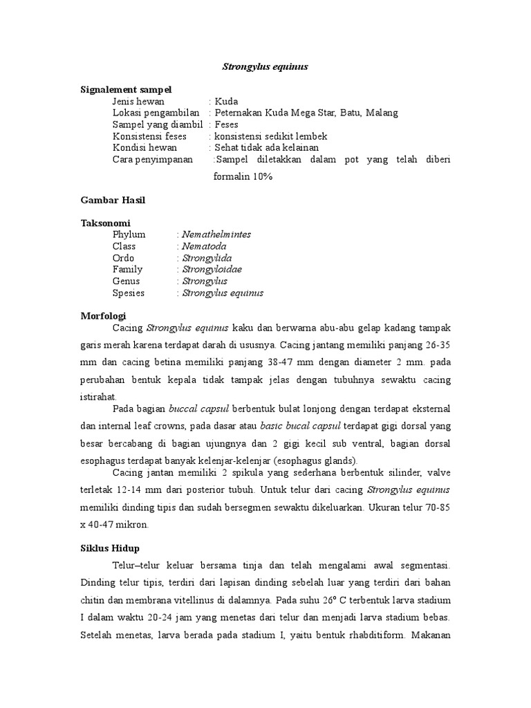 Strongylus Equinus | PDF