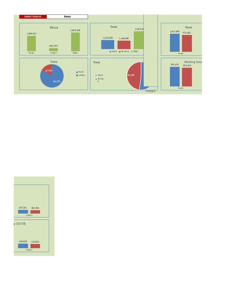 Demographic Analysis | PDF