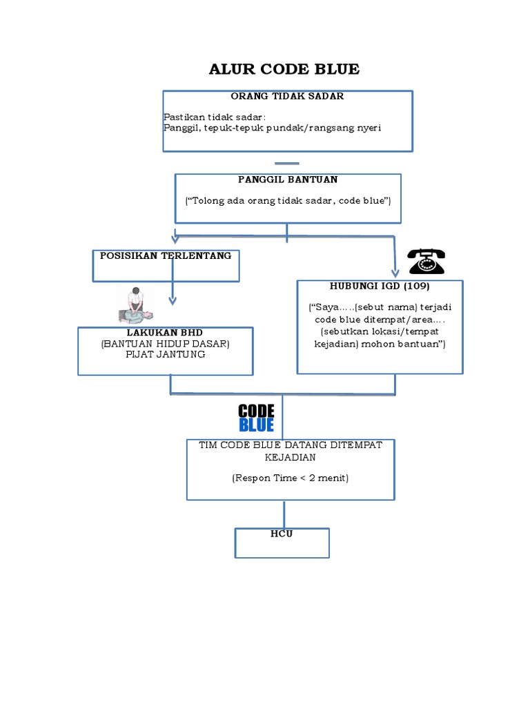 Alur Code Blue Baru | PDF