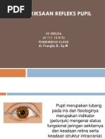Pupil Isokor dan Anisokor: Penjelasan | PDF