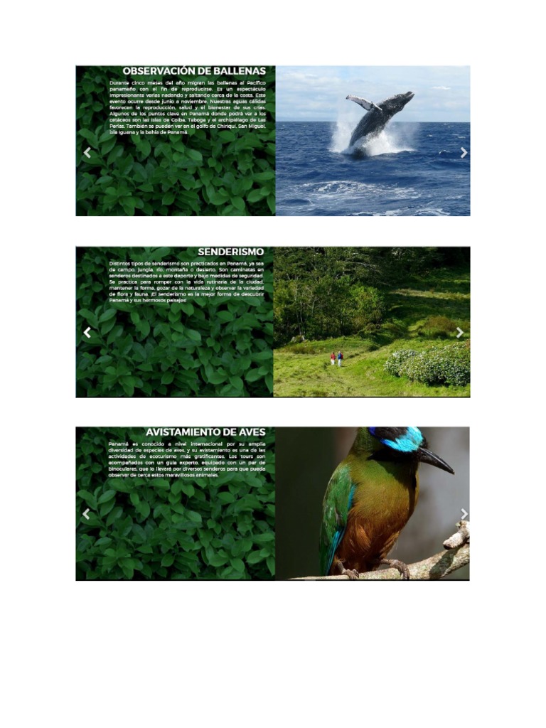 Ecoturismo en Panamá | PDF | Entorno natural | Conservación