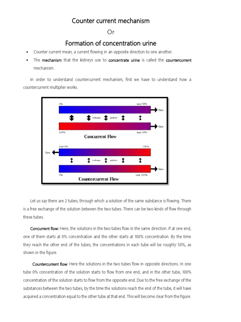 Counter Current Mechanism | PDF | Organ (Anatomy) | Animal Anatomy