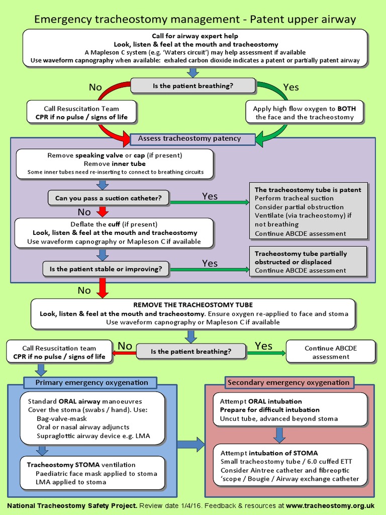 Patent Airway Algorithm.pdf | Breathing | Medical Treatments