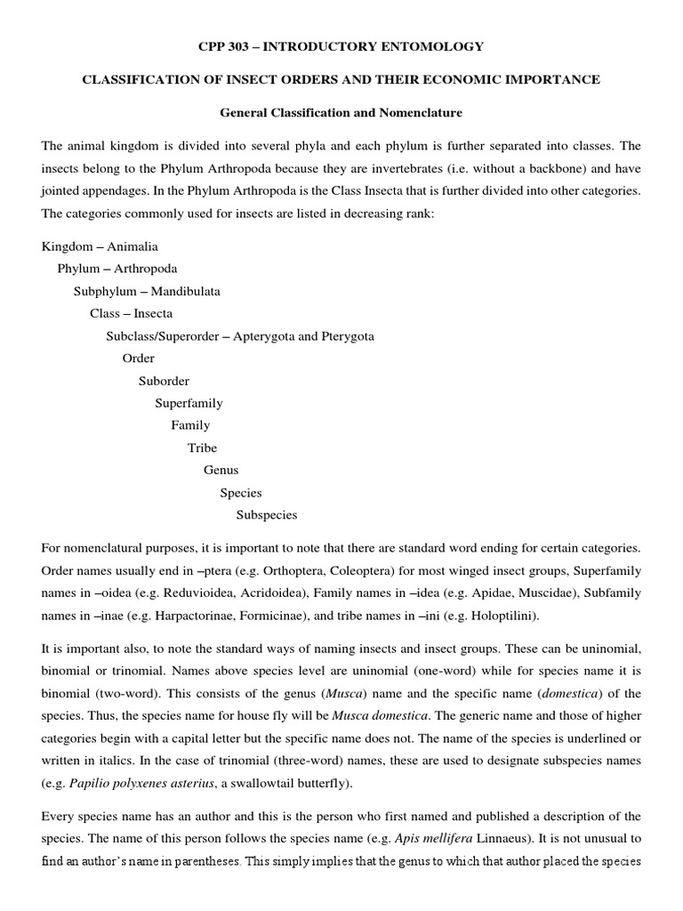 Classification of Insect Orders and Their Economic Importance | PDF ...