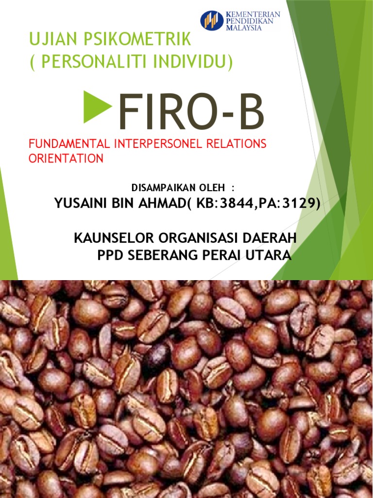 FIRO | PDF
