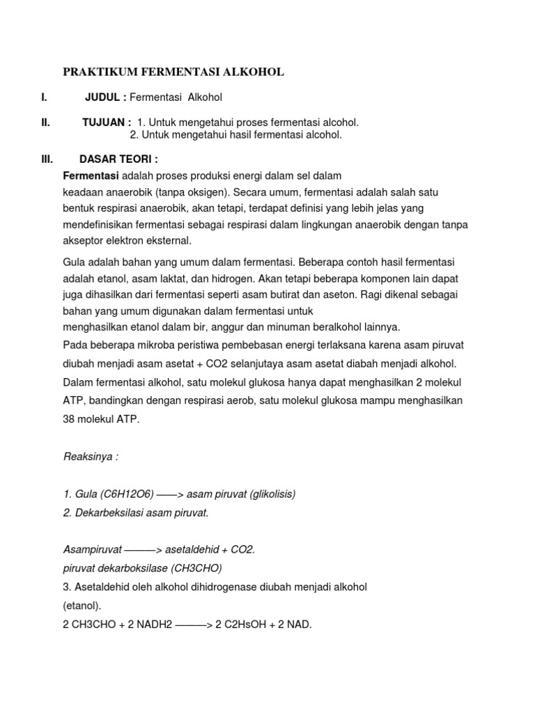 Praktikum Fermentasi Alkohol | PDF