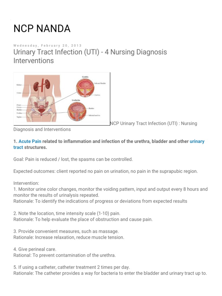Nursing Diagnosis and Interventions for Urinary Tract Infection (UTI ...