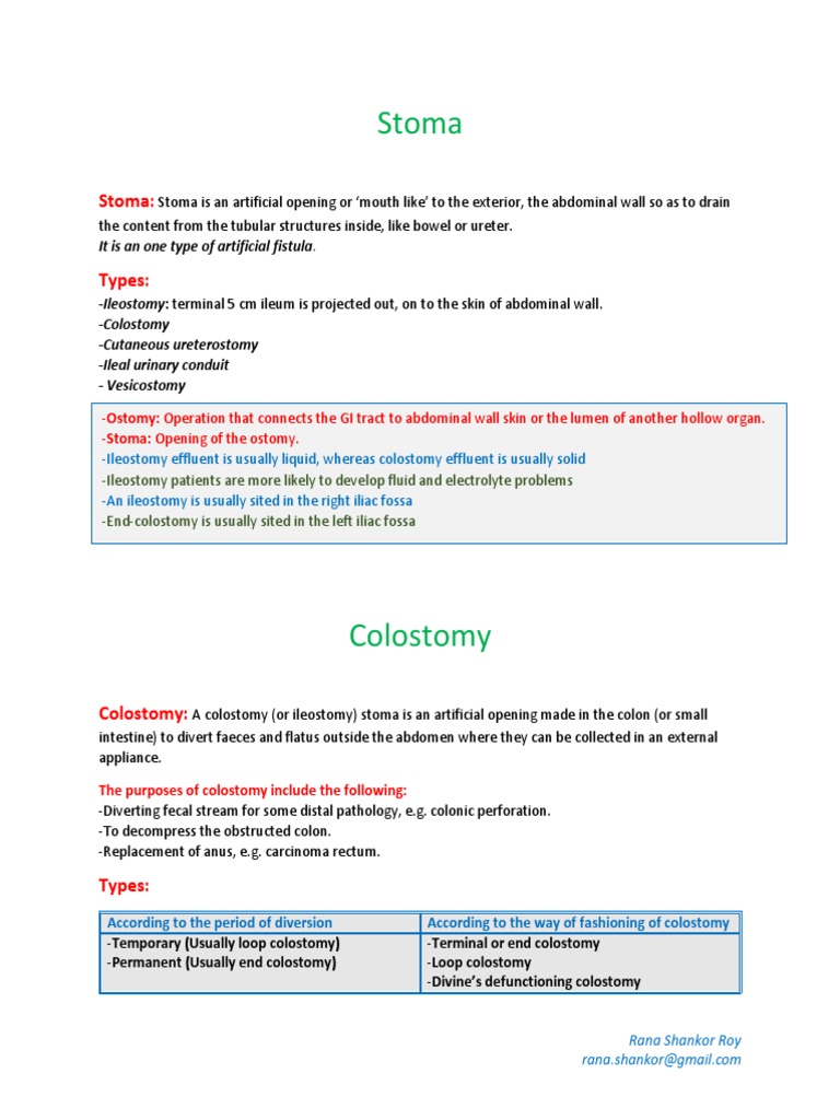 Understanding Colostomy Types and Care | PDF | Large Intestine ...
