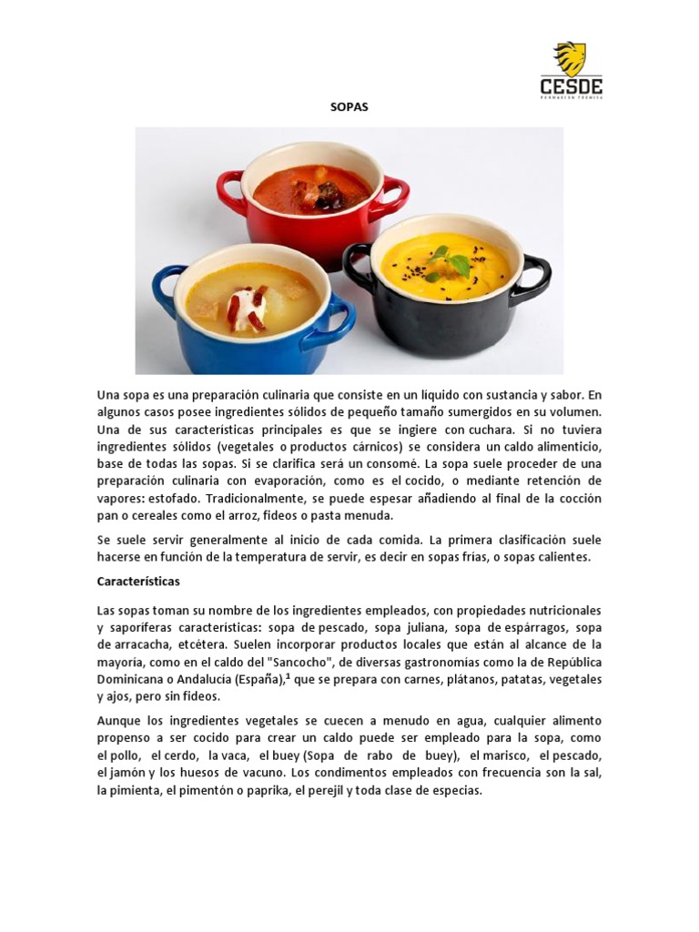 Clasificación y tipos de sopas | PDF | Sopa | Alimentos