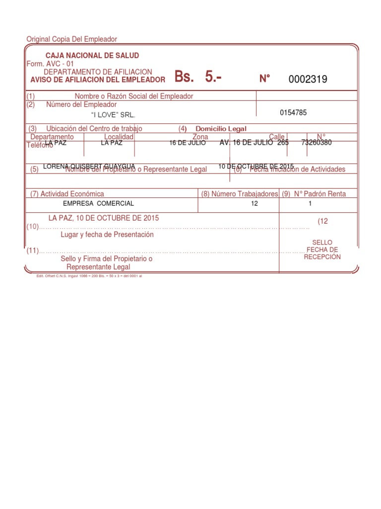 Formulario Avc-01 Edwin | PDF