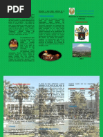 Cuzco Triptico | PDF