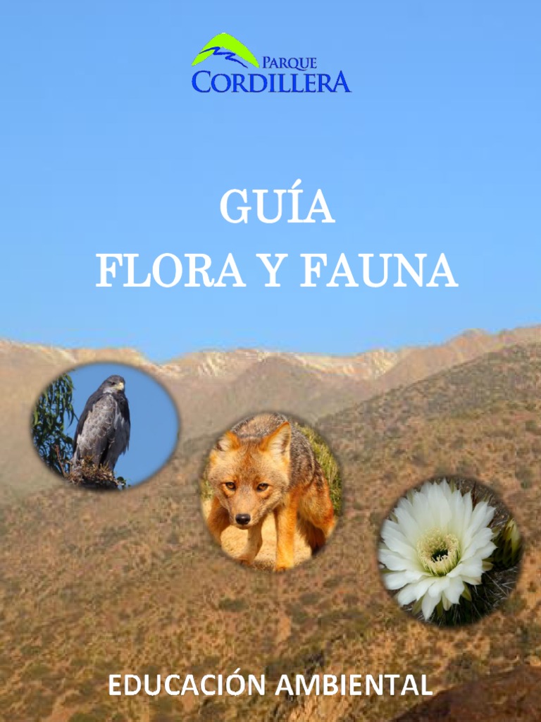 GUIA-Flora-y-Fauna.pdf | Aves | Paravianos
