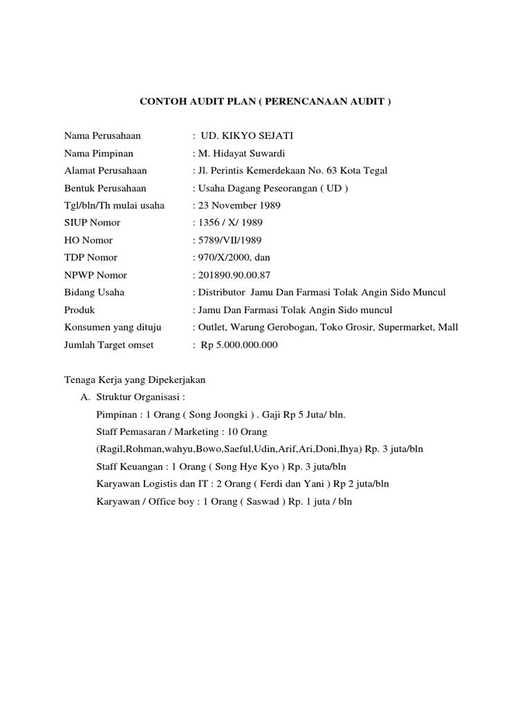 Contoh Rencana Audit Perusahaan Tbk | PDF