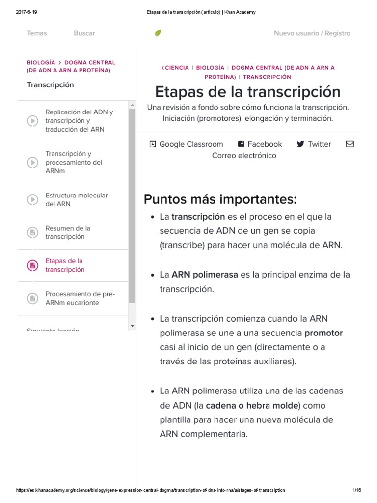 Etapas de La Transcripción (Artículo) - Khan Academy | PDF | Rna ...