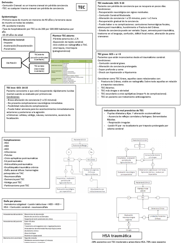 Tec Mapa Conceptual Descargar Gratis Pdf Lesión Enfermedades Y