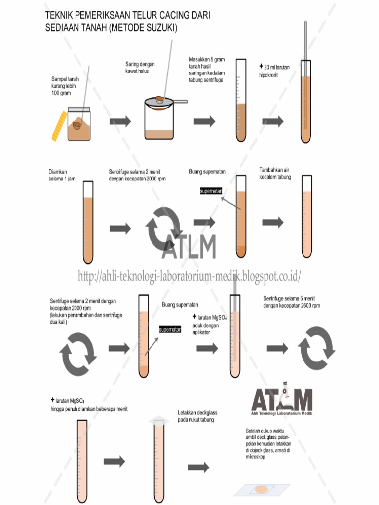 Pemeriksaan Telur Cacing Sampel Tanah Suzuki | PDF