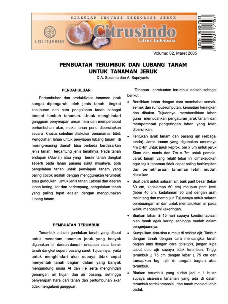Pembuatan Terumbuk Dan Lubang Tanam Untuk Tanaman Jeruk | PDF