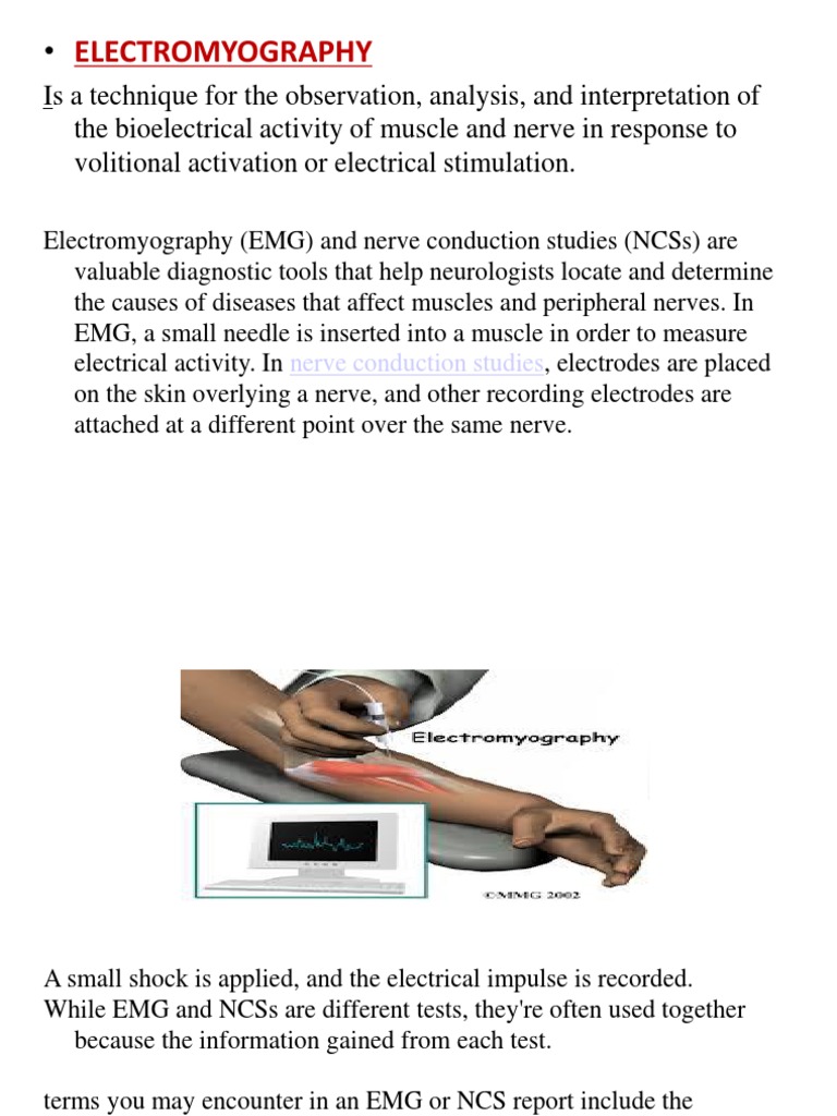 Clinical Electro Physiological Testing | PDF | Electromyography | Nerve