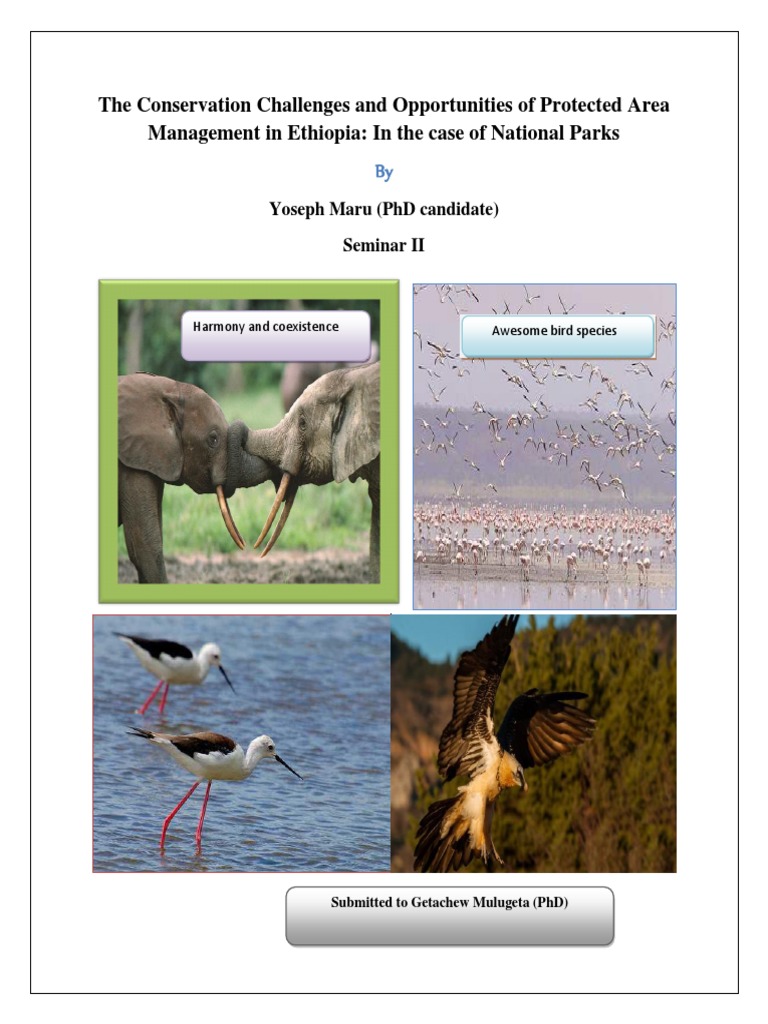 Conservation Challenges in Ethiopian Parks | PDF | Conservation Biology ...