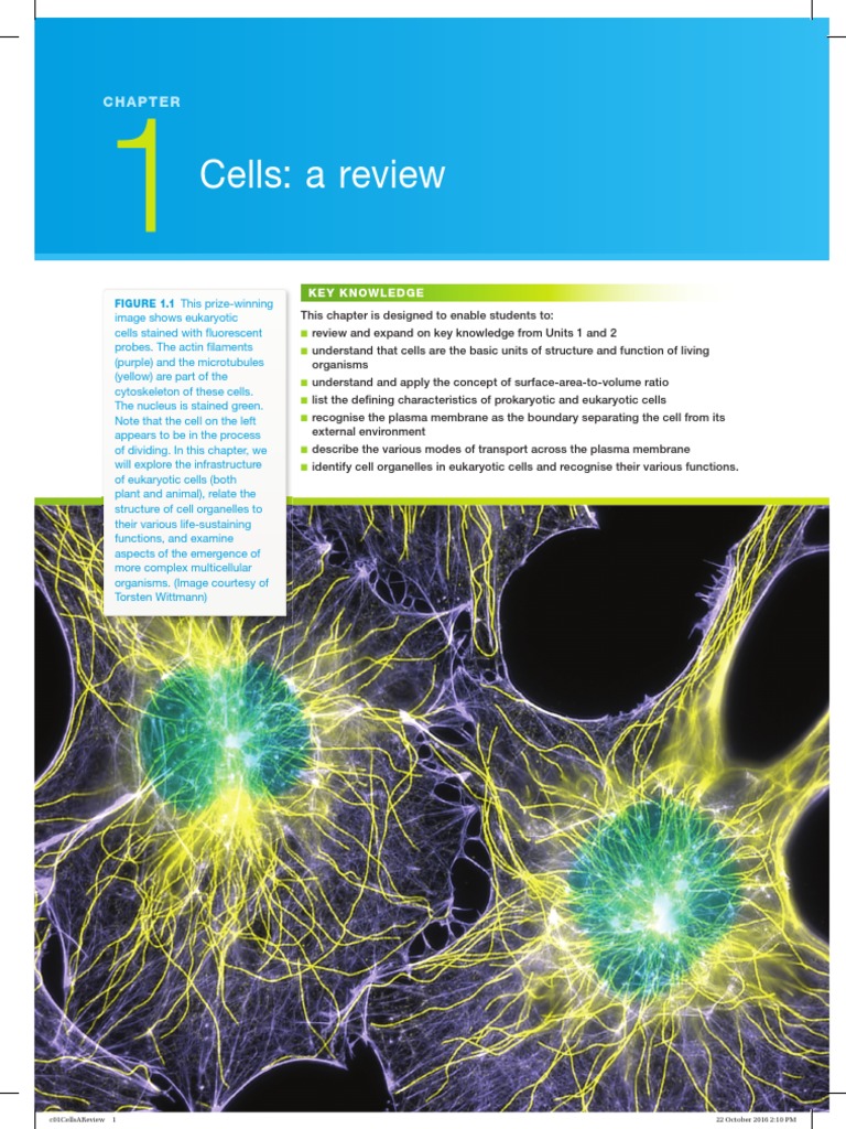 Chapter 1 - Cells A Review | PDF | Prokaryote | Cell (Biology)