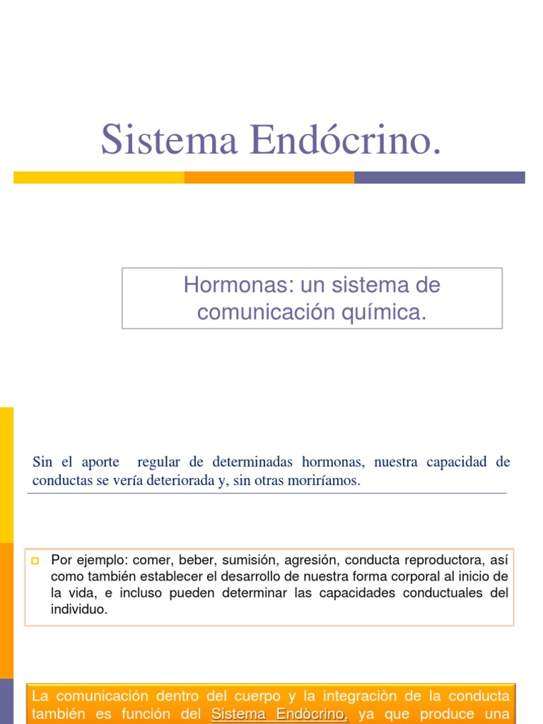 1 Sistema Endòcrino POR Judith Segovia | PDF | Glándula pituitaria ...
