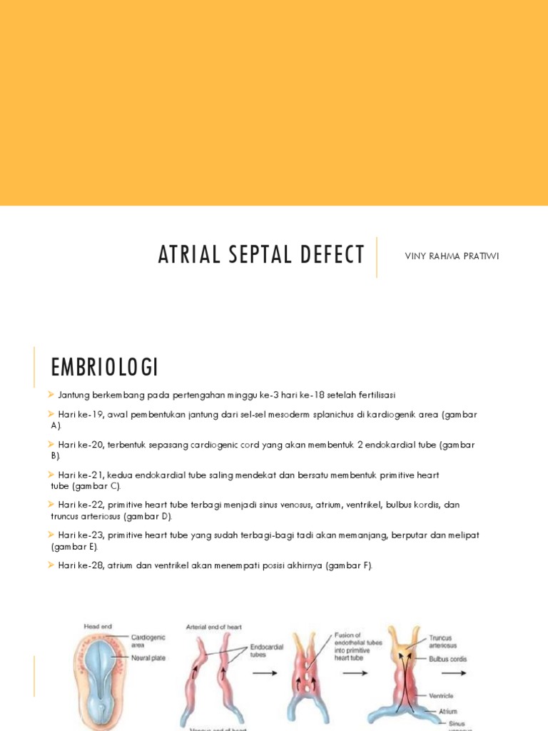 Defek Septum Atrium: Penyebab dan Penanganan | PDF