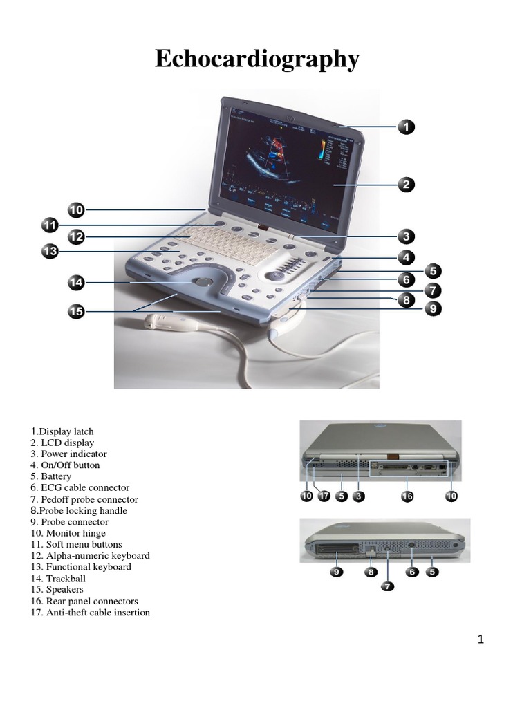 Echo Petunjuk Penggunaan | PDF | Heart Valve | Ventricle (Heart)