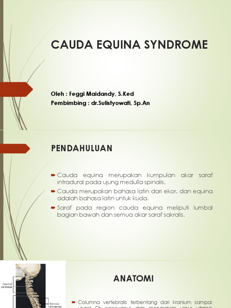 Cauda Equina Syndrome | PDF
