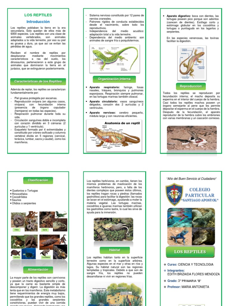 Triptico Los Reptiles | Reptil | Zoología