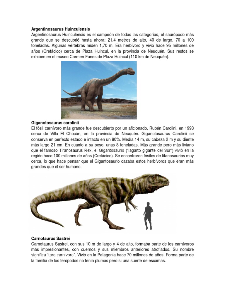 Argentinosaurus Huinculensis | PDF | Dinosaurios Mesozoicos ...