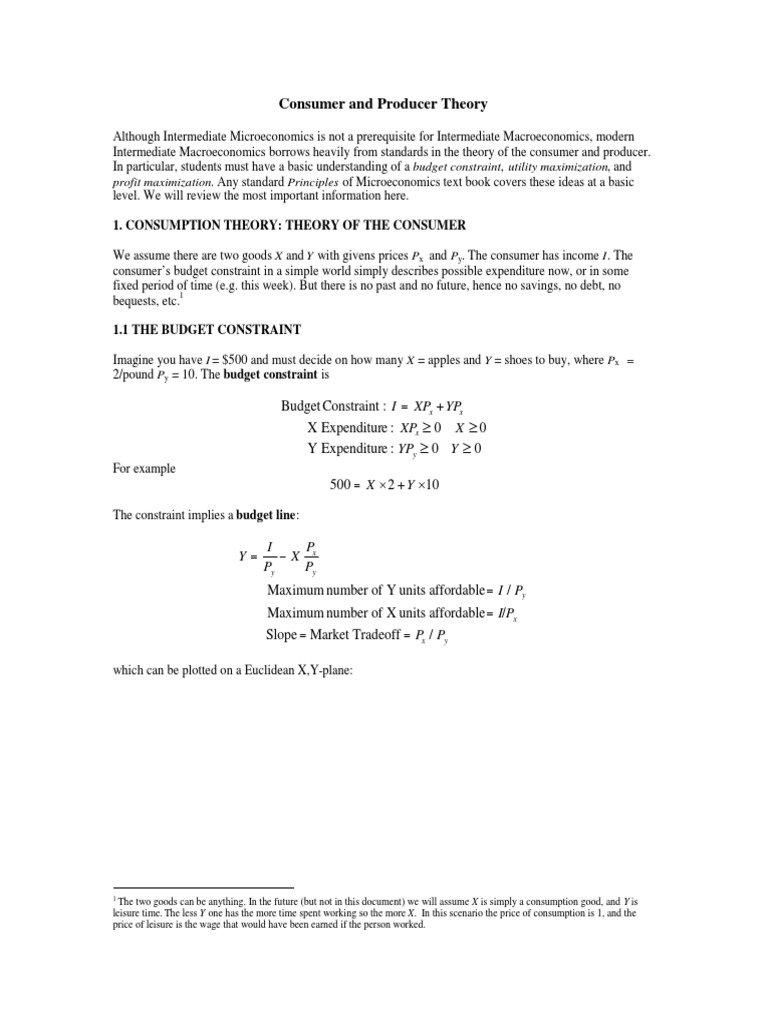 Consumer Producer Theory | PDF | Labour Economics | Profit (Accounting)