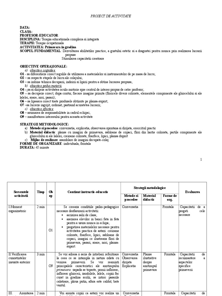 Proiect de Activitate Terapie Ocupationala | PDF