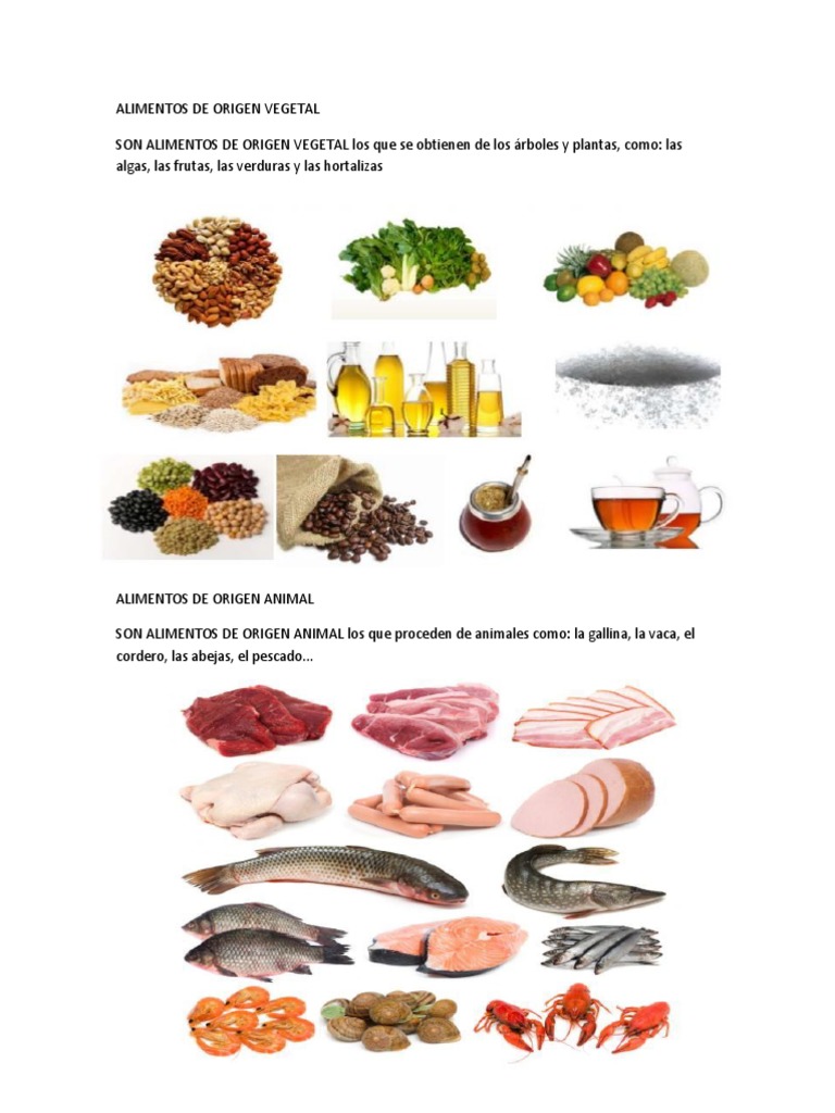 Alimentos de Origen Vegetal