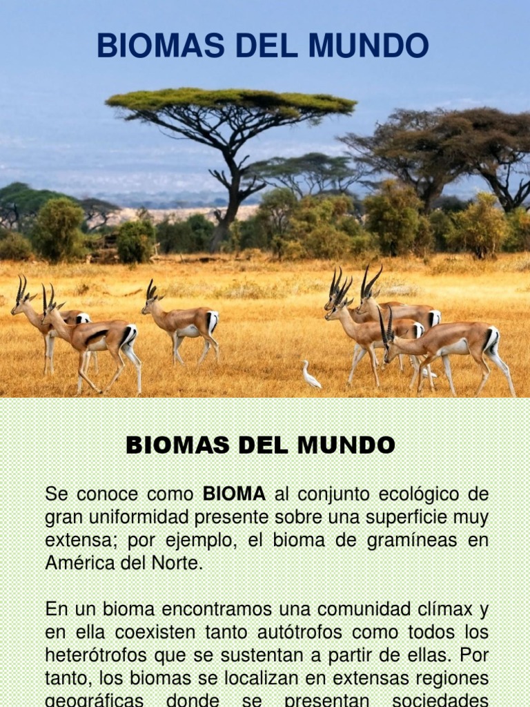 Biomas Del Mundo (C-11) | Descargar gratis PDF | Habitat | Ecología