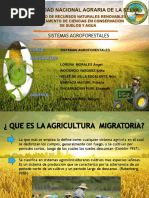 Sistema de Roza y Quema Maya | PDF | México | Agricultura