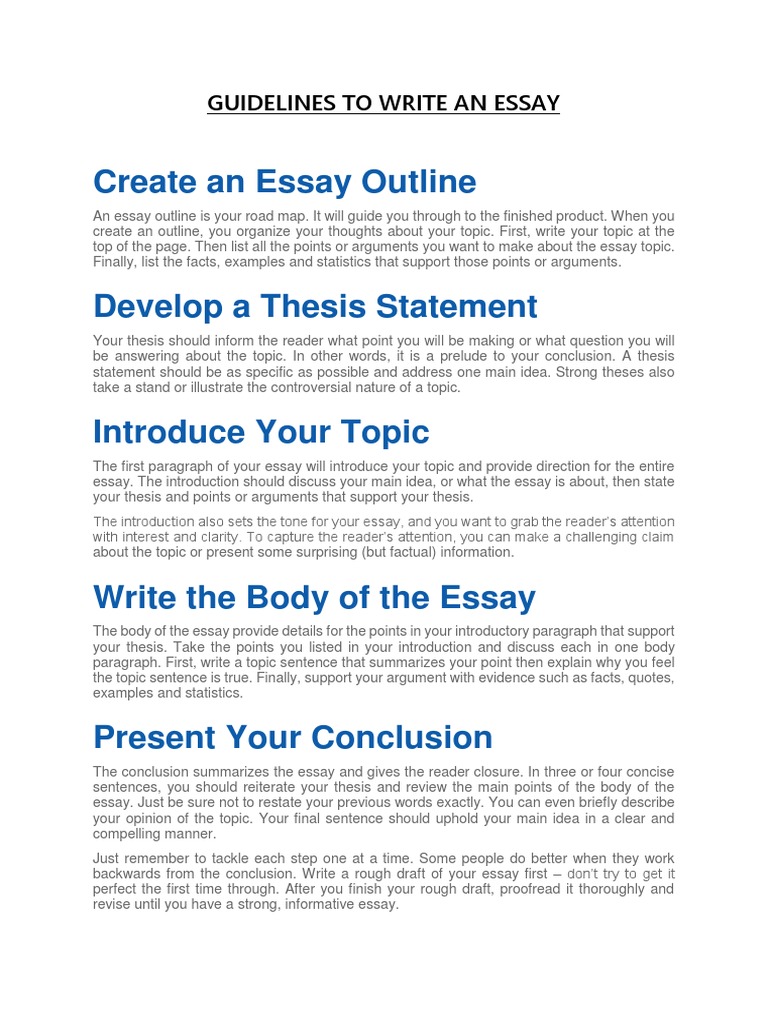 Essay Writing Guidelines | PDF | Essays | Argument