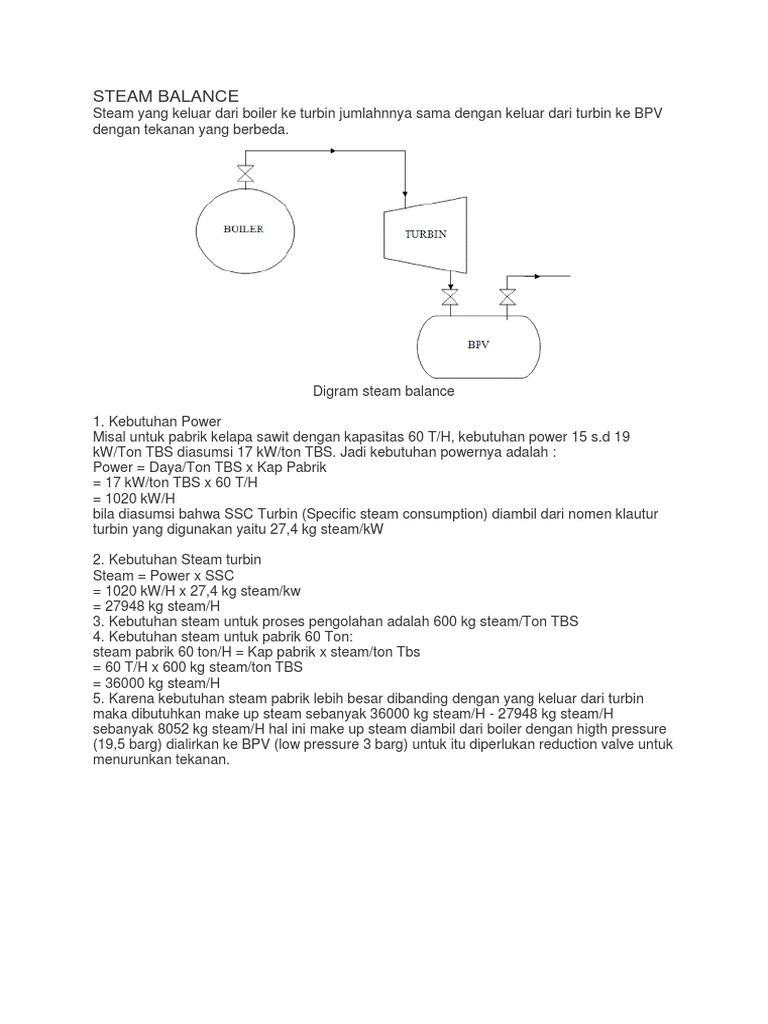 Steam Balance | PDF