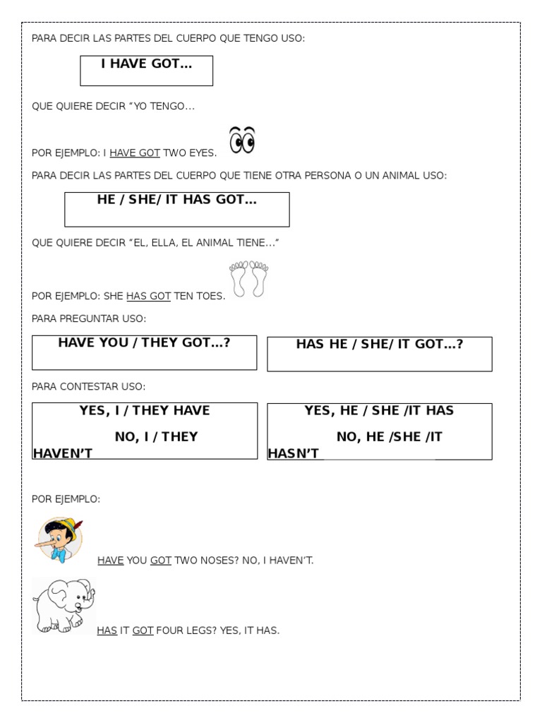 Simple Explanation Have Has Got | PDF