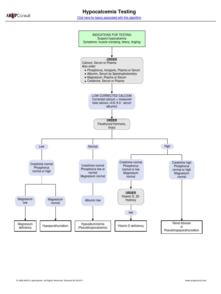 Hypocalcemia Testing Algorithm | Clinical Medicine | Medical Specialties