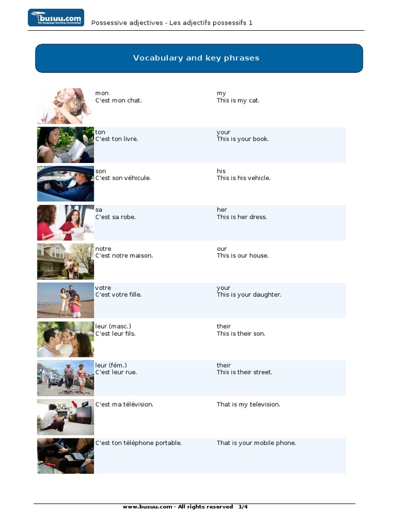 Les Adjectifs Possessifs 1 - Busuu Beginner French A1 | PDF | Leisure
