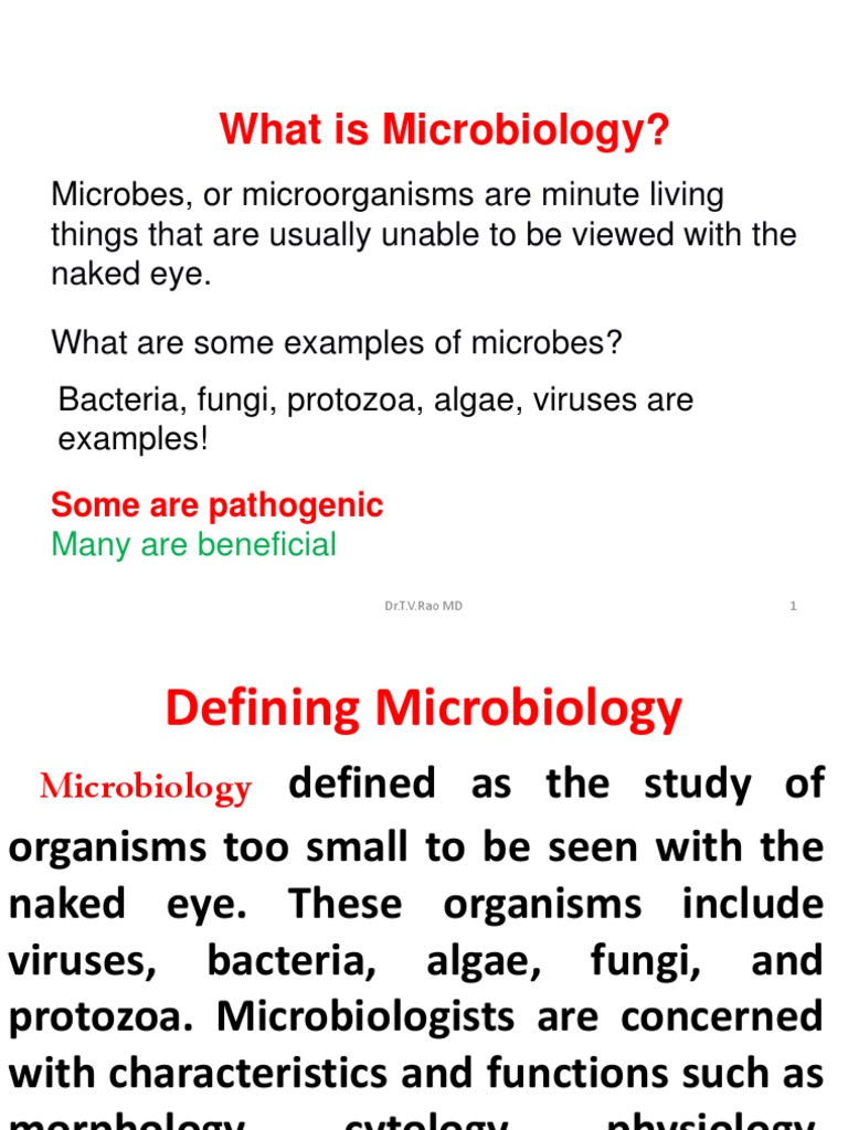 Introduction to Medical Microbiology | PDF | Cell (Biology) | Microbiology