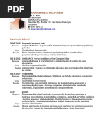 Modelo de Curriculum Vitae (Lleno Ejemplo) | PDF